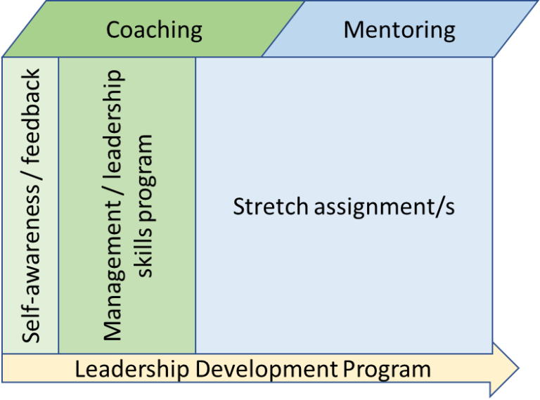 Overcoming the challenge of stretch assignments in global leadership ...